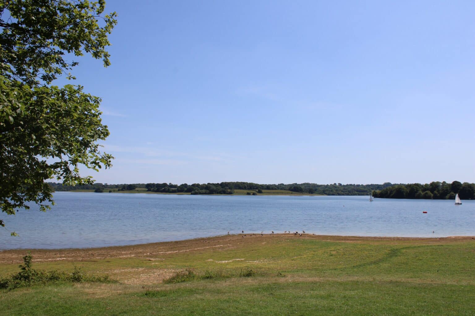 Summer holidays activities at Bewl Water