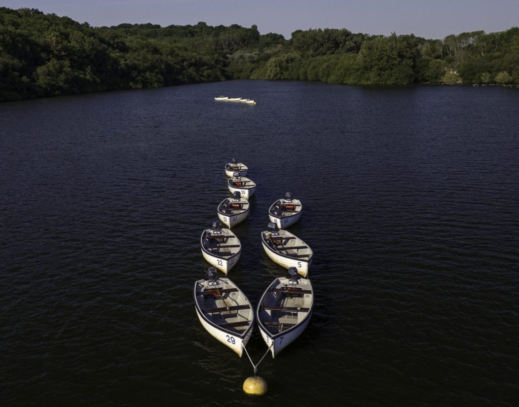 Bewl Water - The Ultimate Destination for a Family Day Out