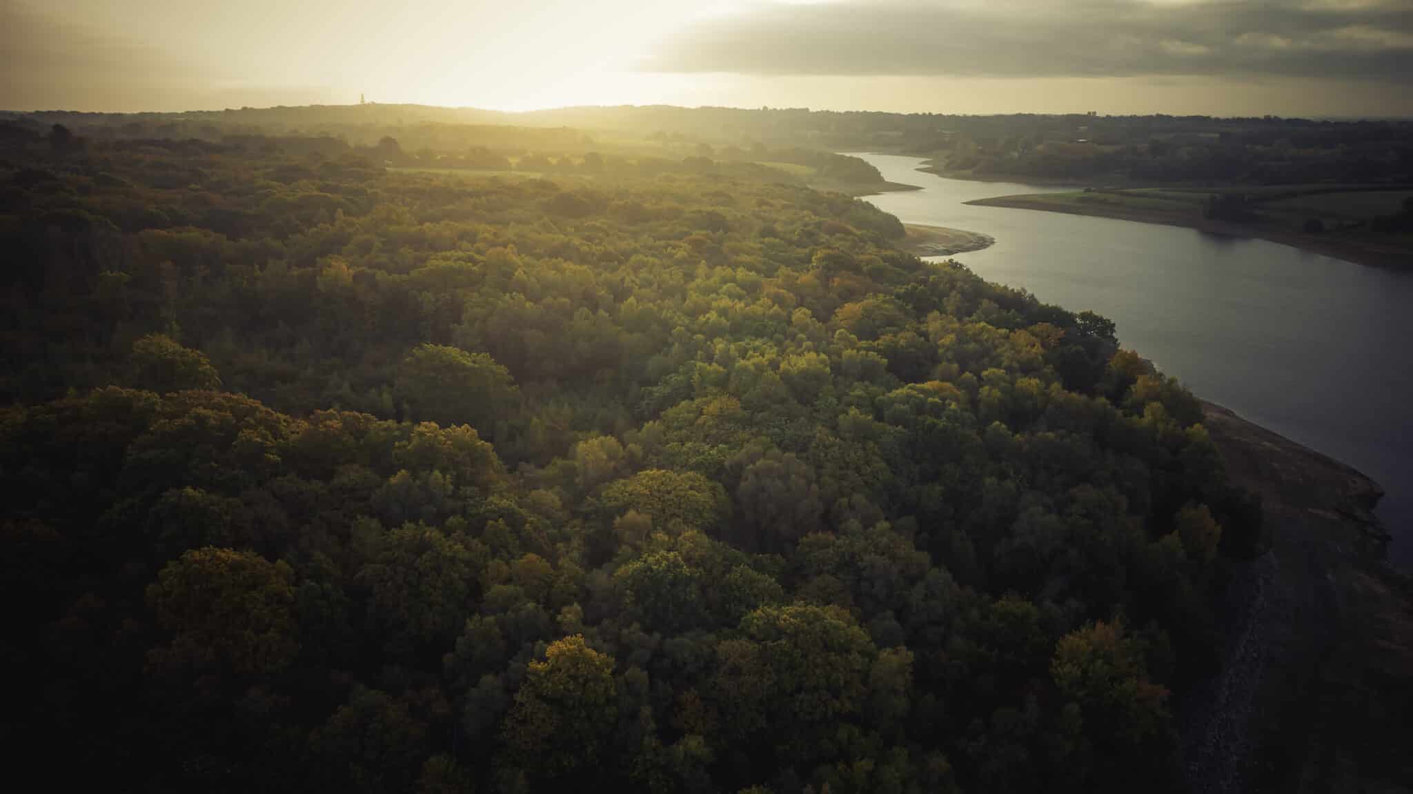 Bewl Water - The Ultimate Destination for a Family Day Out