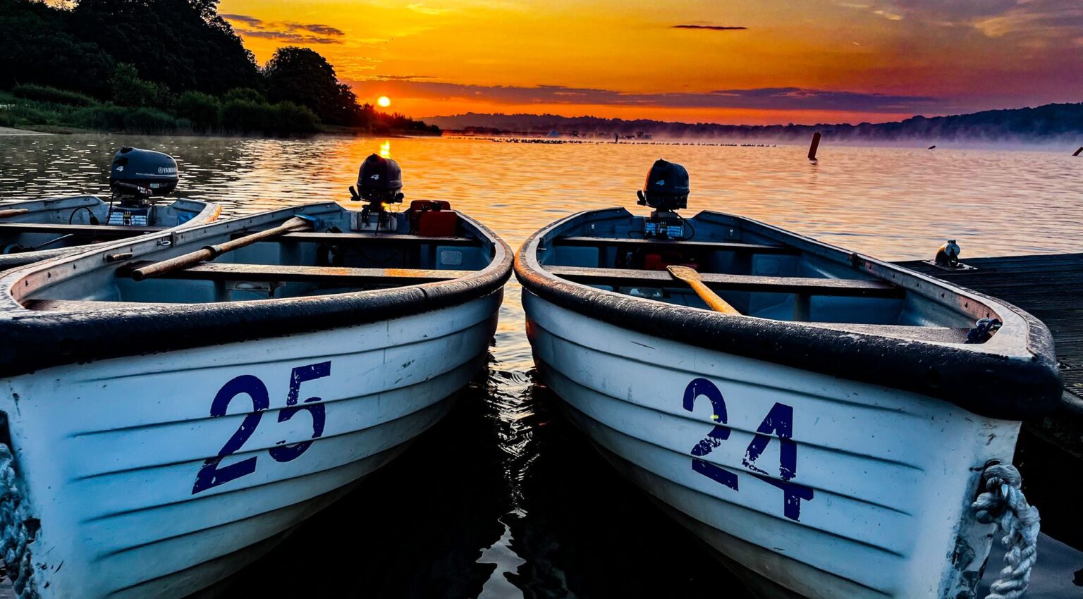 Bewl Water - The Ultimate Destination for a Family Day Out