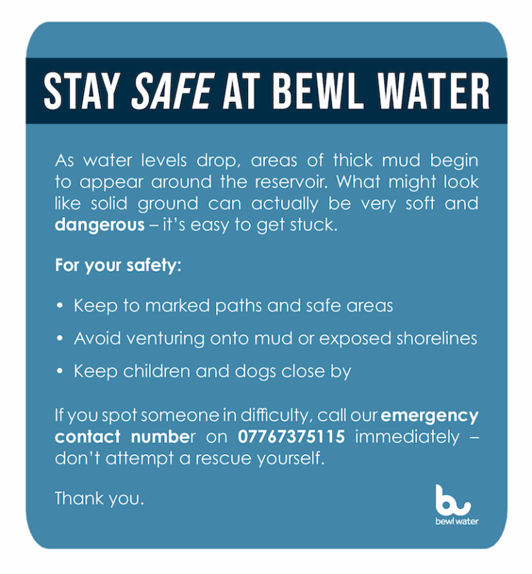 Bewl Water - The Ultimate Destination for a Family Day Out